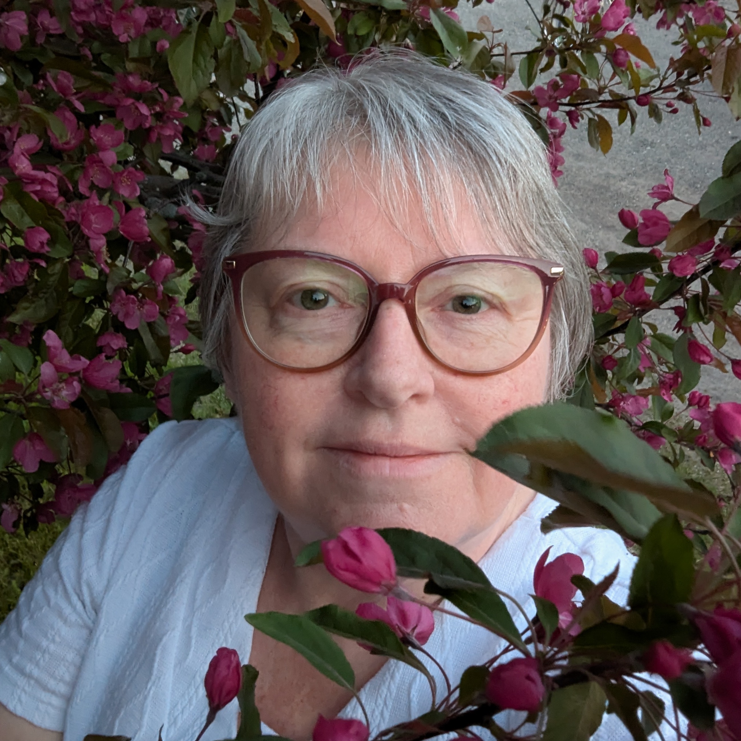 Tournée des Vainqueurs