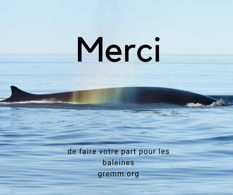 Online gift - Transaction informations